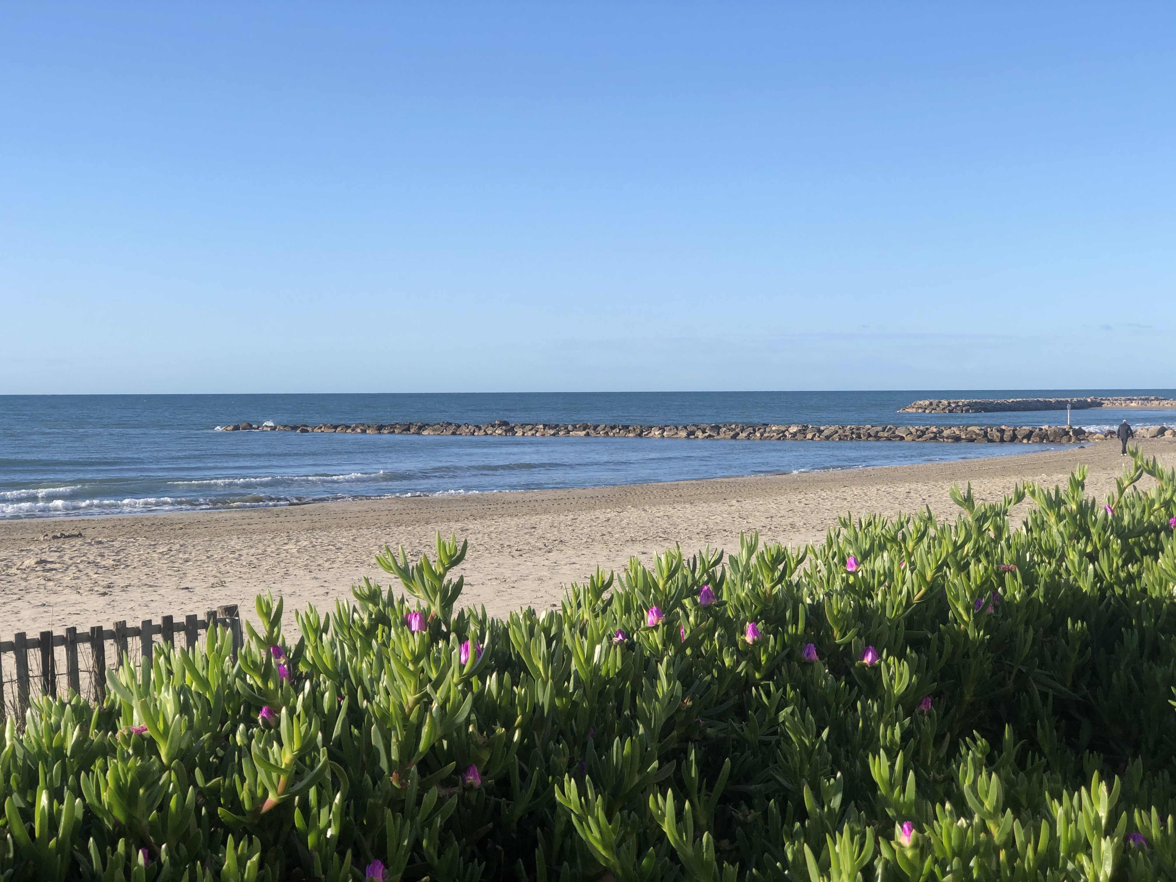 PLAGE AVRANCHE